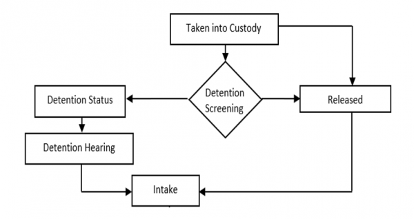 What is the DRAI | Florida Department of Juvenile Justice